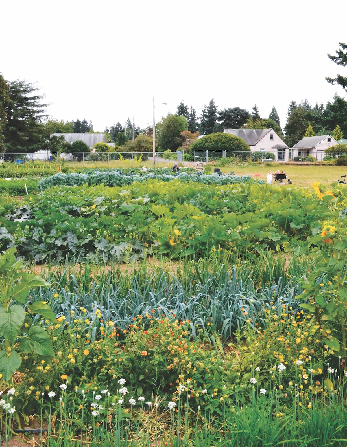 How To Start a Small Farm For Profit – Mother Earth News